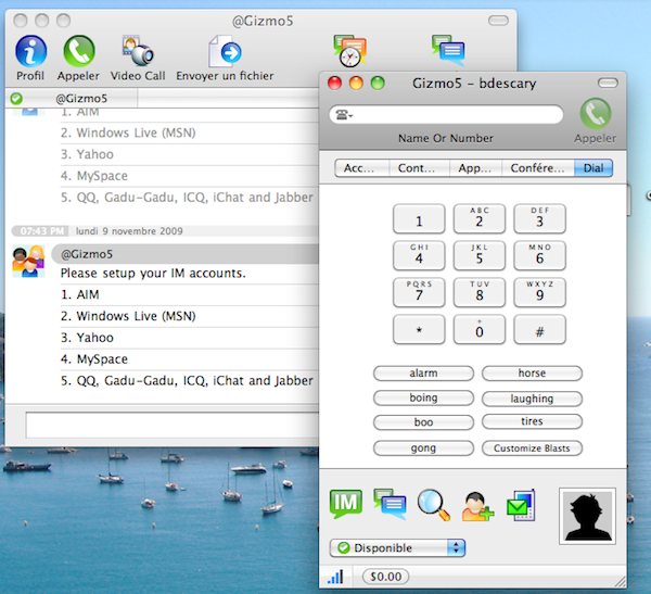 Google aurait acheté Gozmo5 [VOIP] | Descary.com - Propulsez l'identité ...